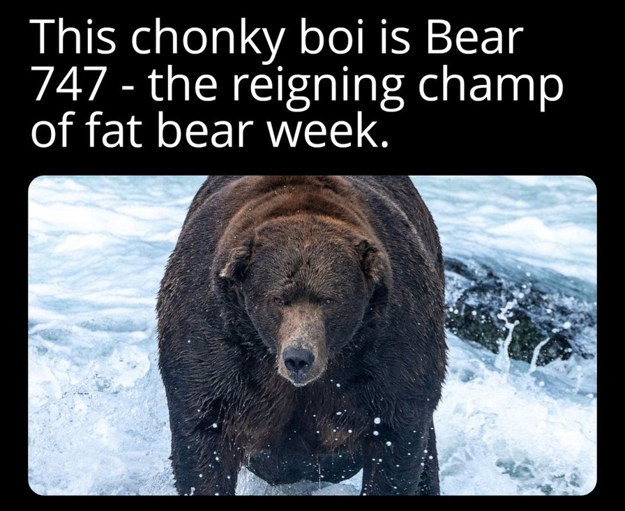 Chonky 747 - Meme by 4theEMPIRE :) Memedroid