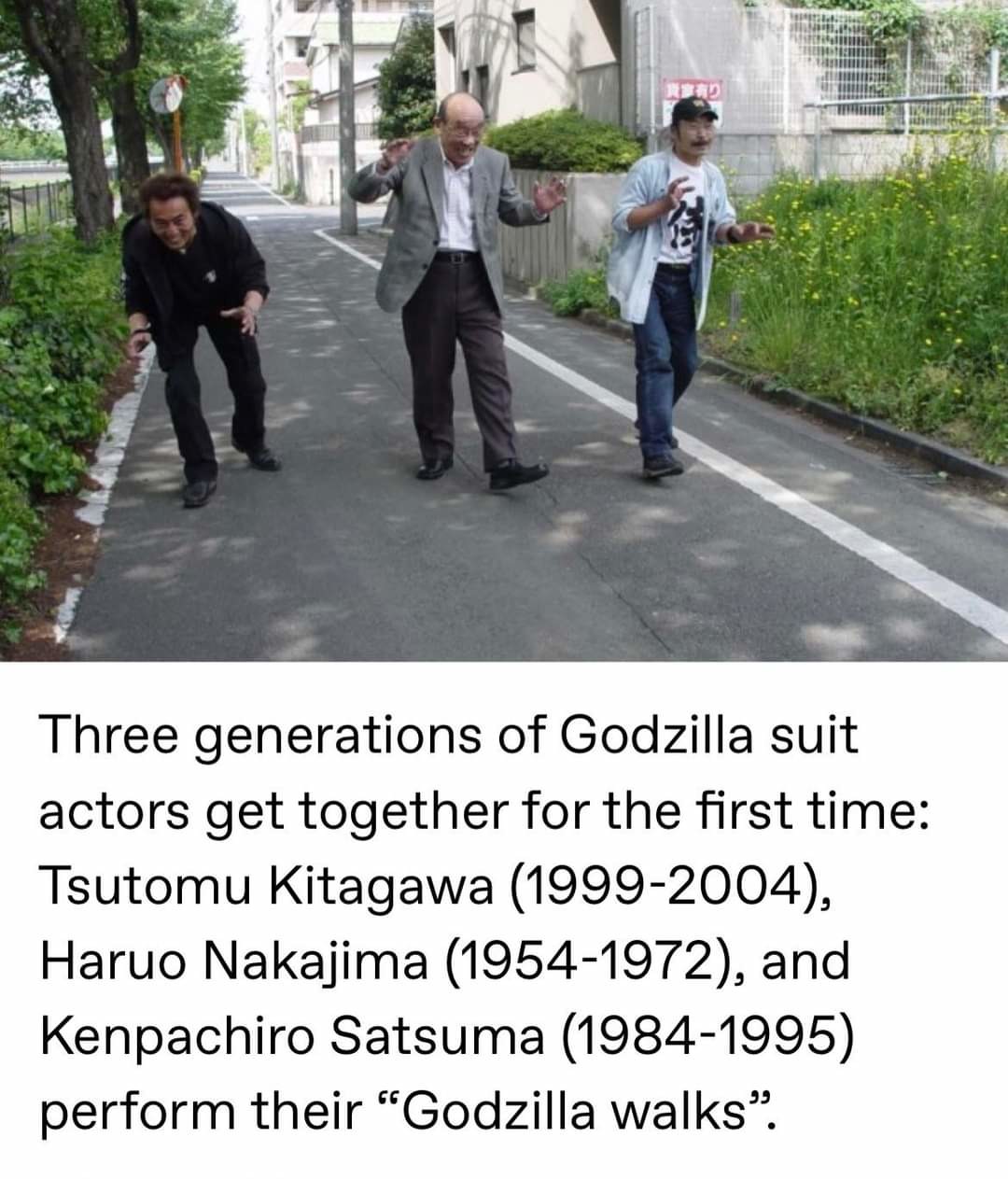 The best Godzilla memes :) Memedroid