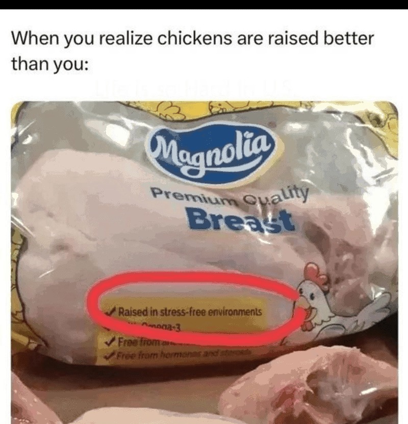 The best Chicken memes :) Memedroid