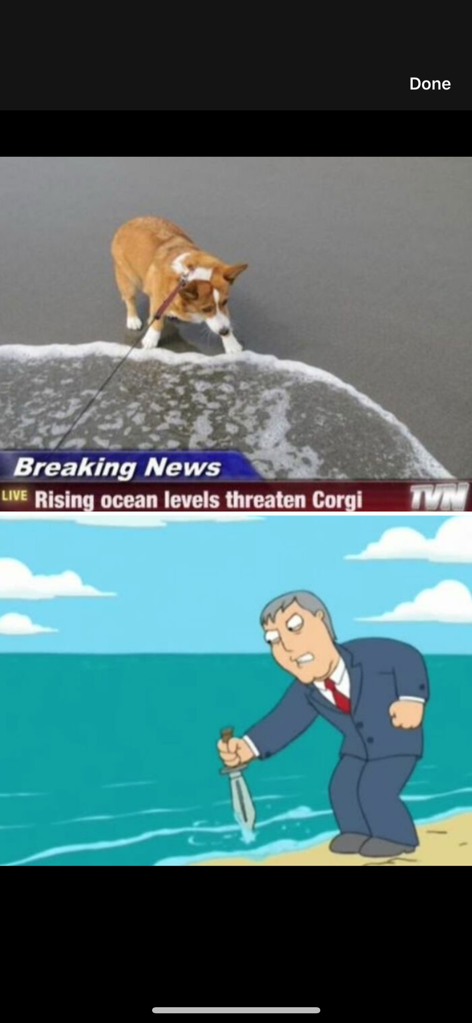 The best Ocean memes :) Memedroid