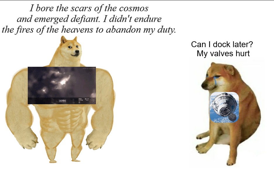 The best SpaceX memes :) Memedroid