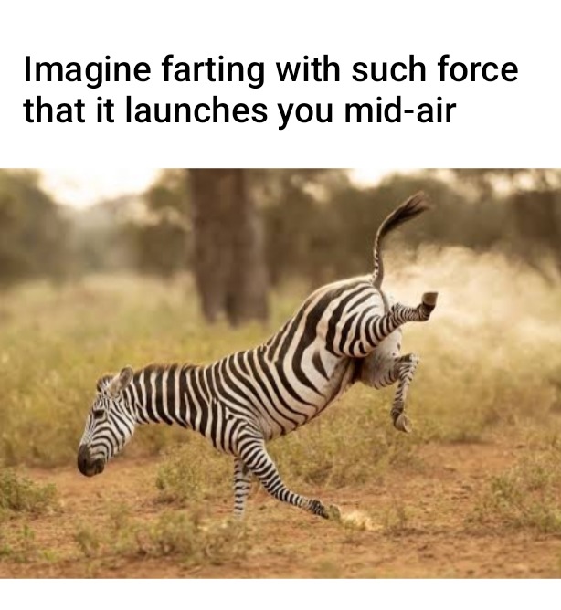 The best Flying memes :) Memedroid