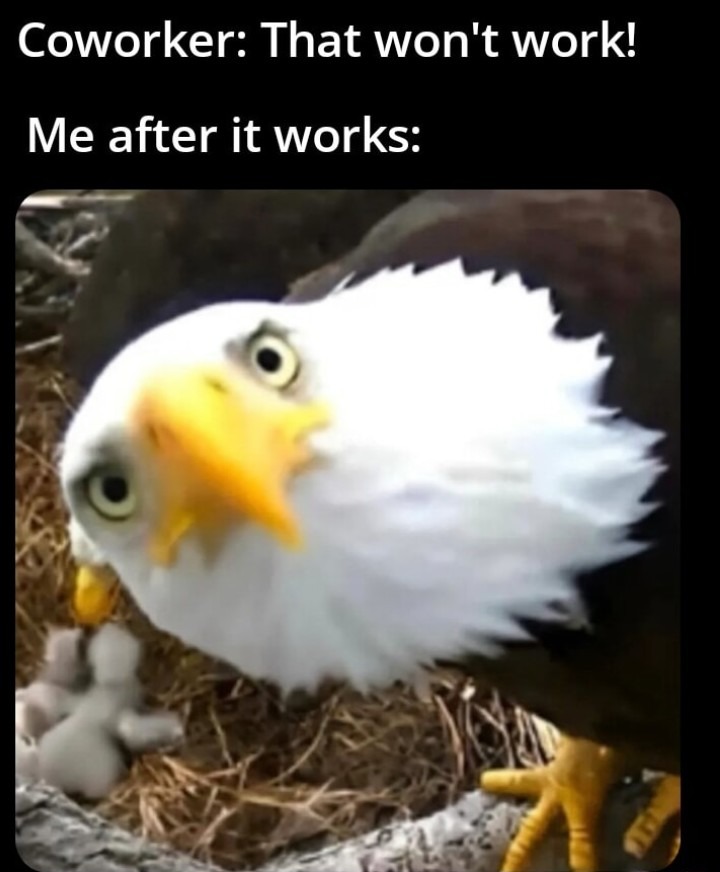 The best Eagle memes :) Memedroid