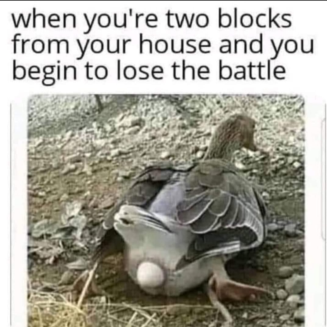 Nghhh - Meme subido por IrishDemon :) Memedroid