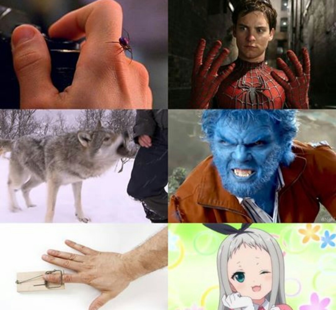 Trap :) - Meme by DogeMan15 :) Memedroid