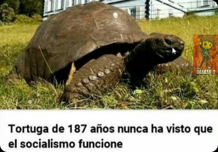 Tenias razon jimbo - Meme subido por Darkar_2 :) Memedroid