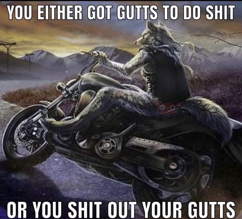 Ride on - Meme by YourOtherLeft :) Memedroid