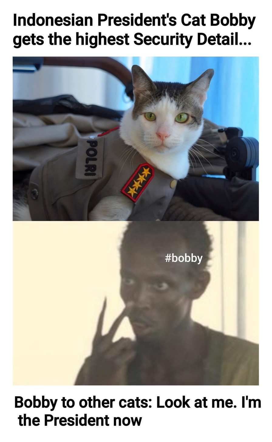 The best Bobby memes :) Memedroid