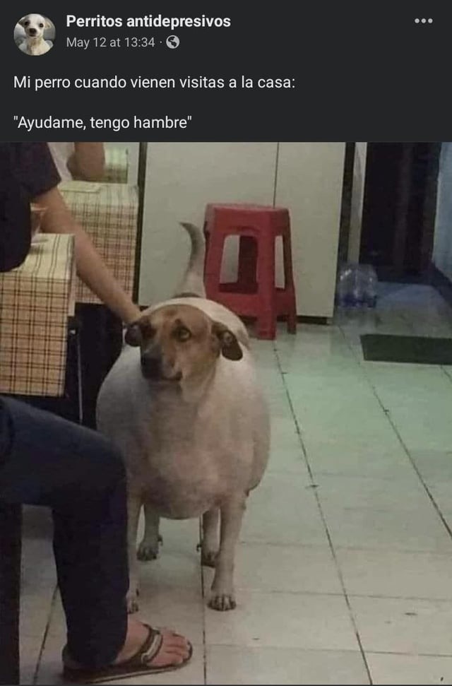 Últimos memes :) Memedroid