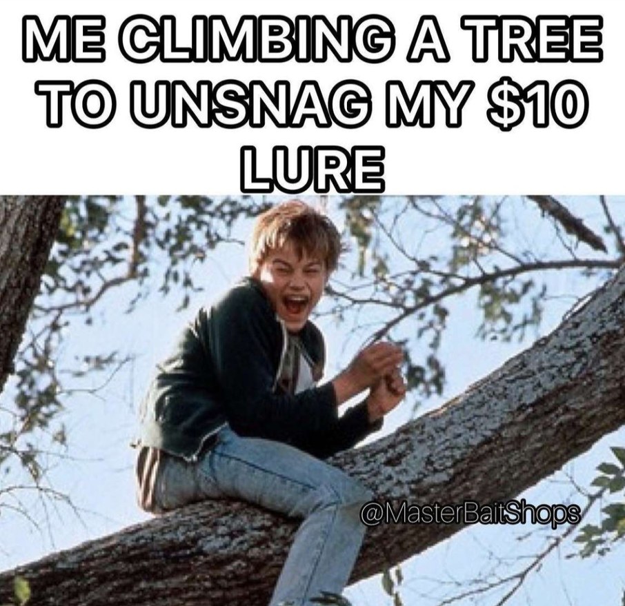 Always losing my baby duck lure. - Meme by Mungdaddy :) Memedroid