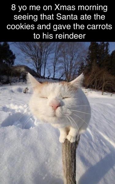 Good boy. - Meme by san_antonio :) Memedroid