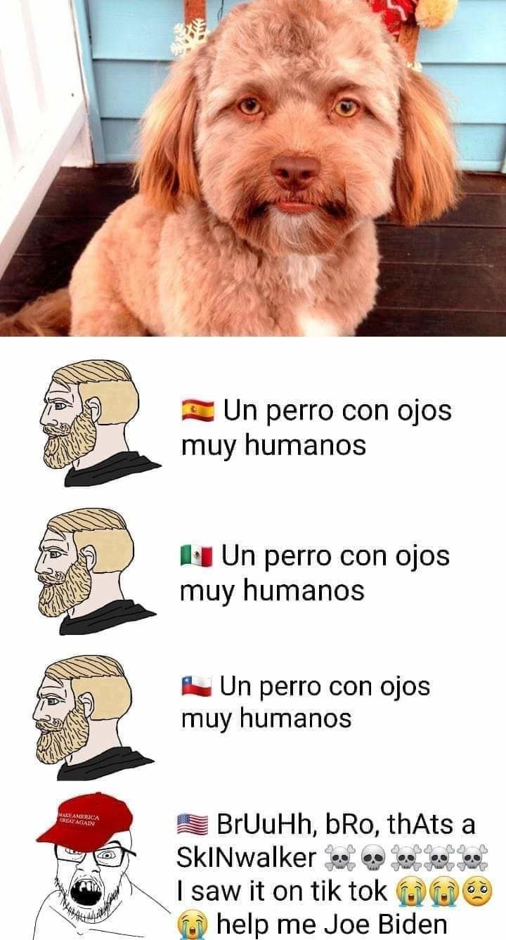 Los Últimos Memes :) Memedroid