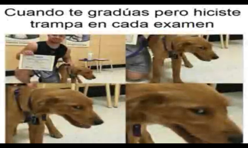 CHAN CHAN CHAN - Meme subido por Maxitrolll :) Memedroid