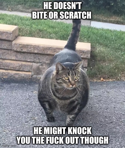 Latest memes / New memes :) Memedroid