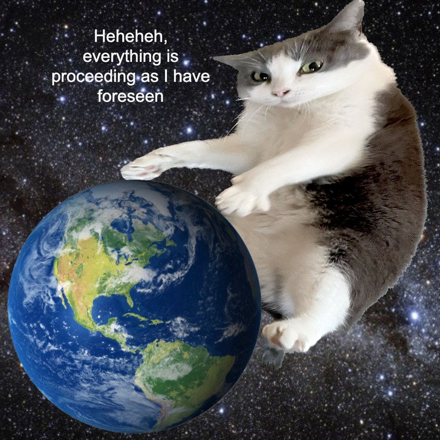 cat meme - Meme by libbyspiral :) Memedroid