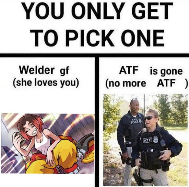 Once in the lifetime choice - Meme by BestBeforeDate :) Memedroid