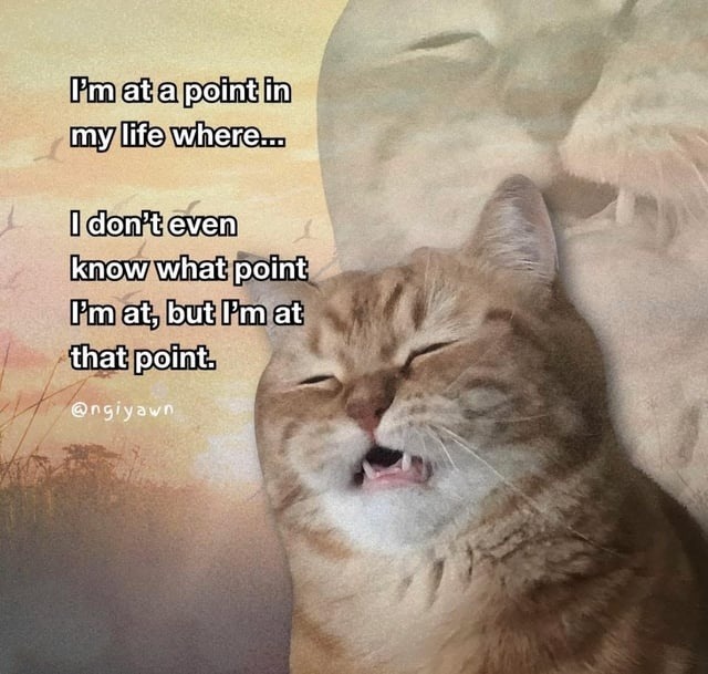 The best Reflection memes :) Memedroid