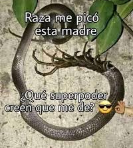 Z - Meme subido por 123usuario :) Memedroid