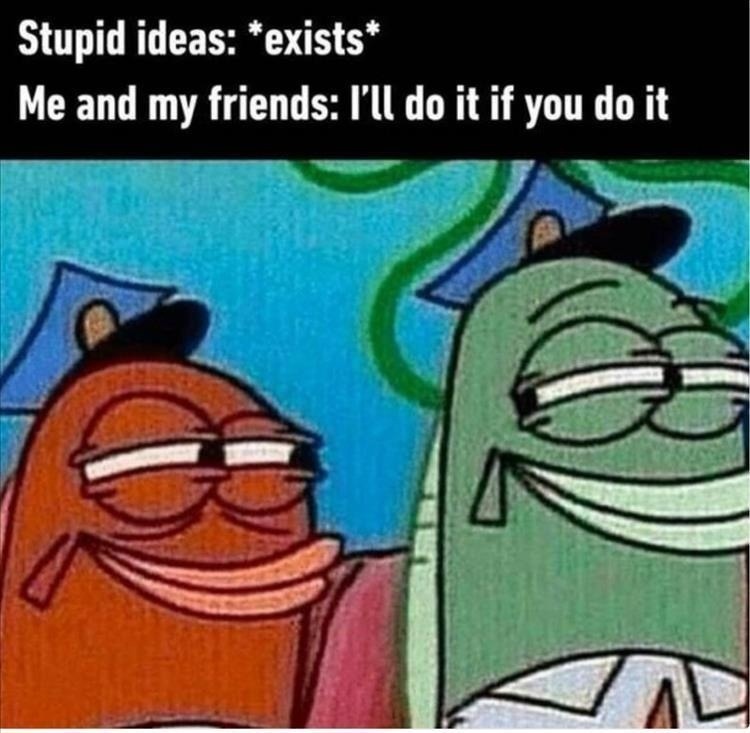 Latest memes / New memes :) Memedroid