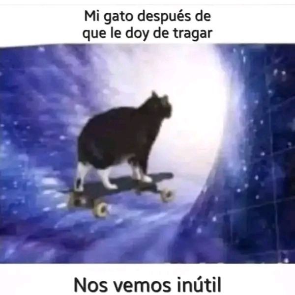 Los Últimos Memes :) Memedroid