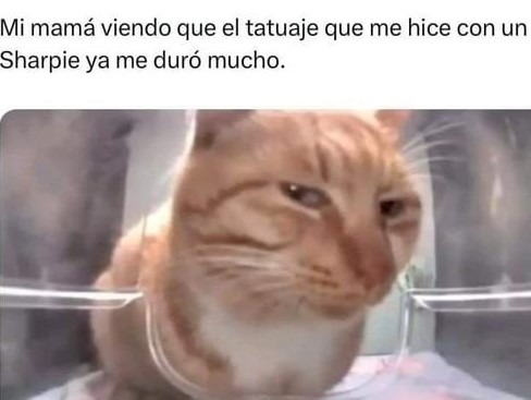 Cara De Meme Sospechosa