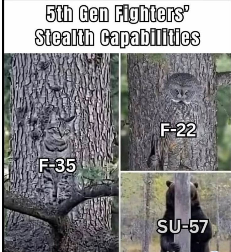 Top memes de Furtivos en español :) Memedroid