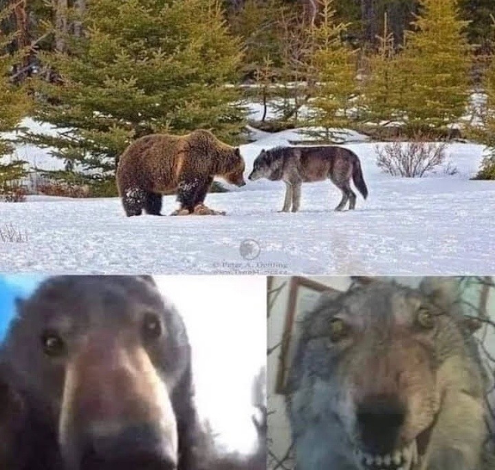 Untitled - Meme by BestBeforeDate :) Memedroid