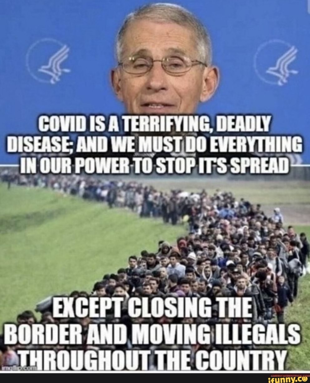 Latest memes / New memes :) Memedroid