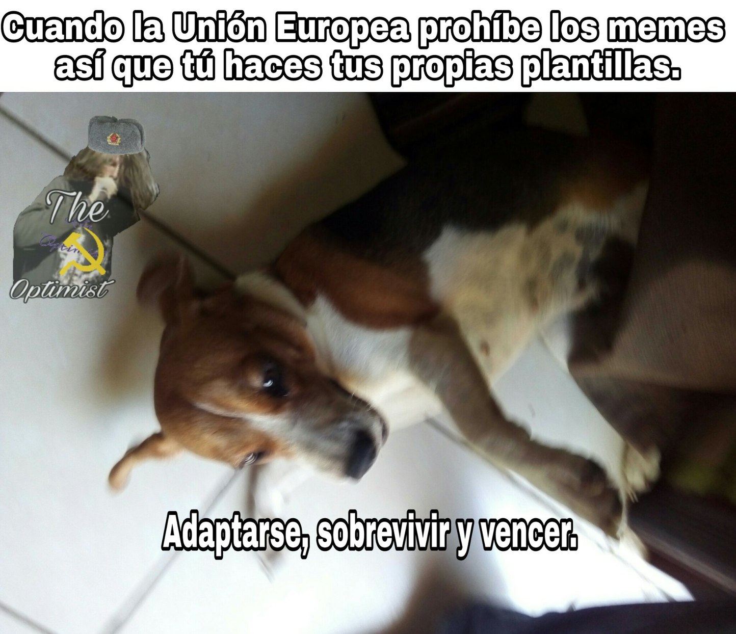 Heyy - Meme subido por The-Optimist. :) Memedroid