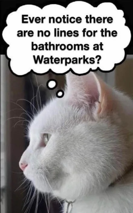 The best Waterpark memes :) Memedroid