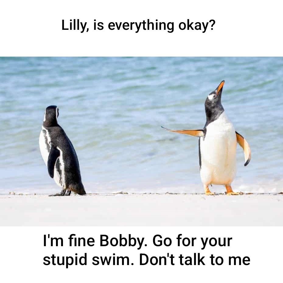 Funny Penguin Meme