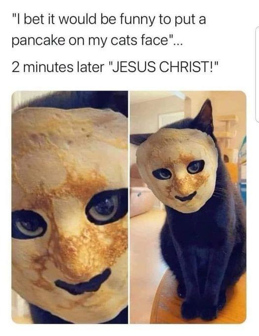 The best Pancake memes :) Memedroid