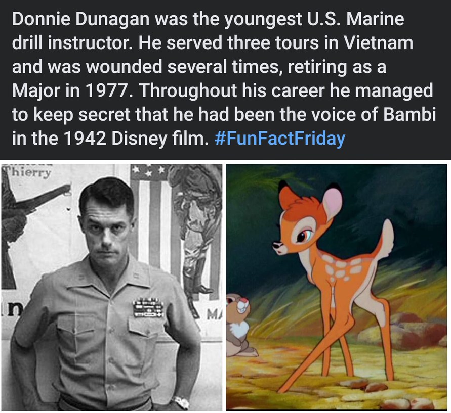 It must have been hard to hide - Meme subido por YourOtherLeft :) Memedroid