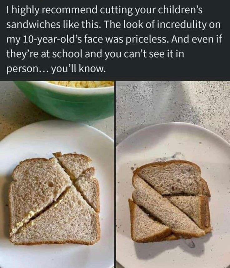 Latest memes / New memes :) Memedroid