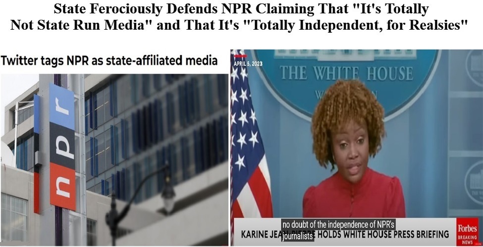 Journalism Cat Memes