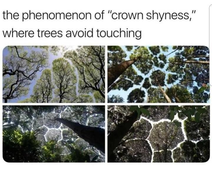 The best Nature memes :) Memedroid