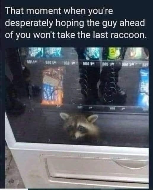 The best Desperation memes :) Memedroid