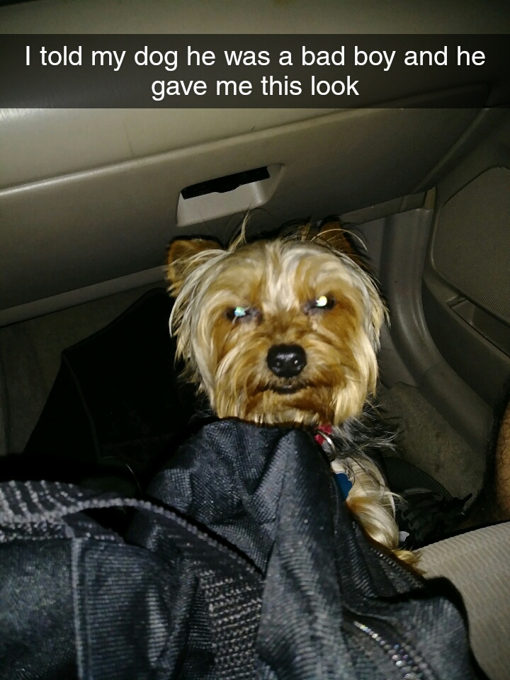 Bad boy - Meme by Bowenarrows96 :) Memedroid