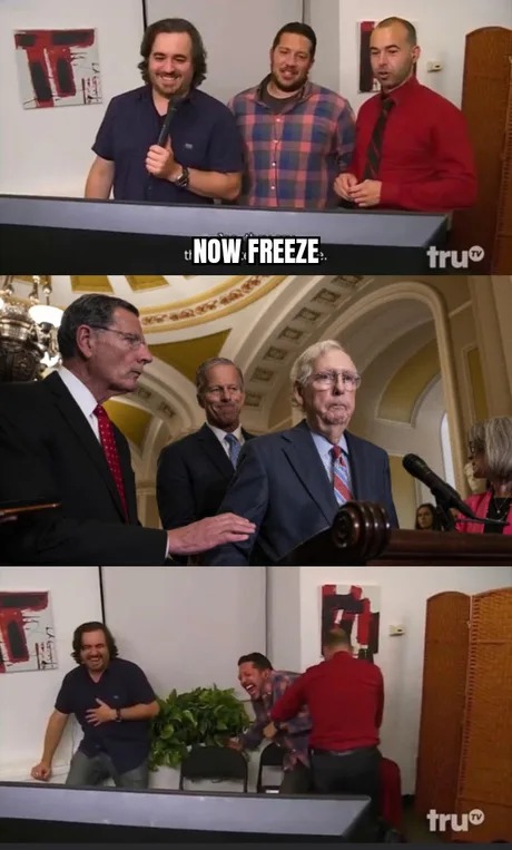 Latest memes / New memes :) Memedroid