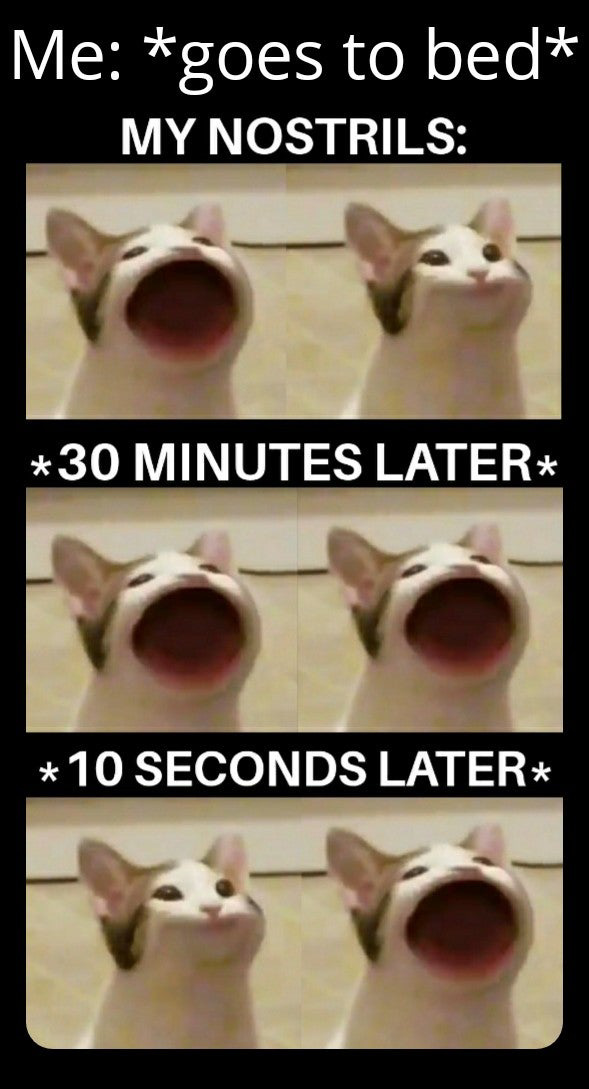 The best Vvvvbbb memes :) Memedroid