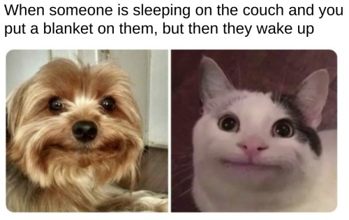 sorry - Meme by san_antonio :) Memedroid