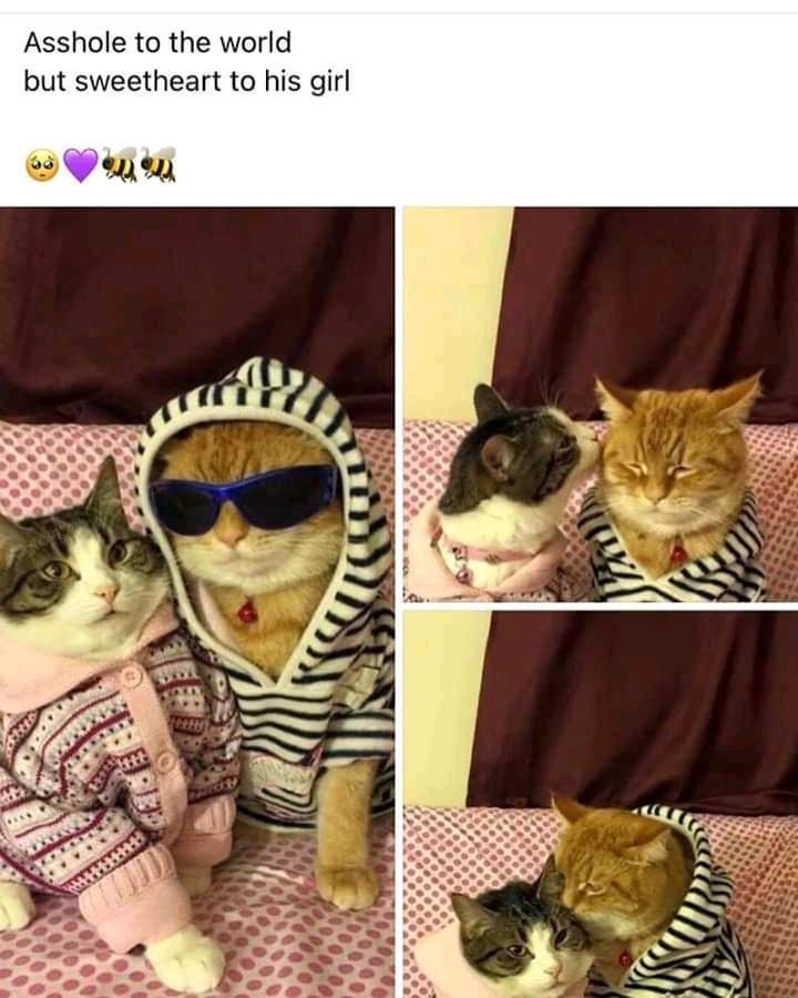 I am bilingual - Mème par SaintChristian :) Memedroid