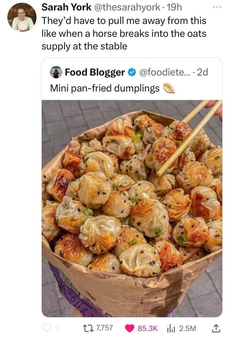 The best Dumplings memes :) Memedroid