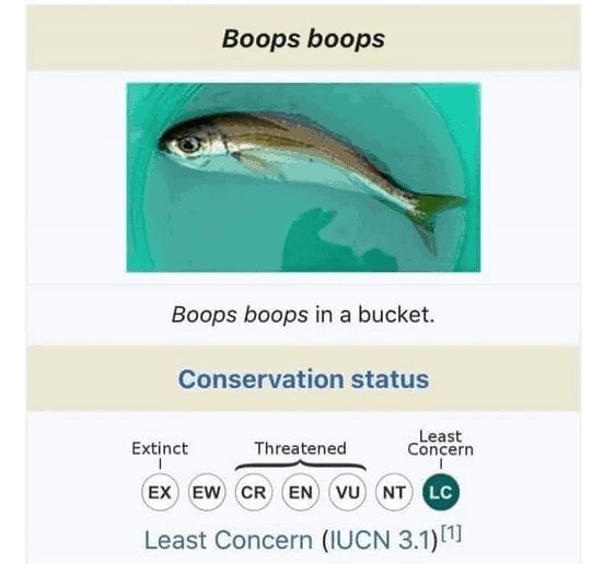 The best Fish memes :) Memedroid