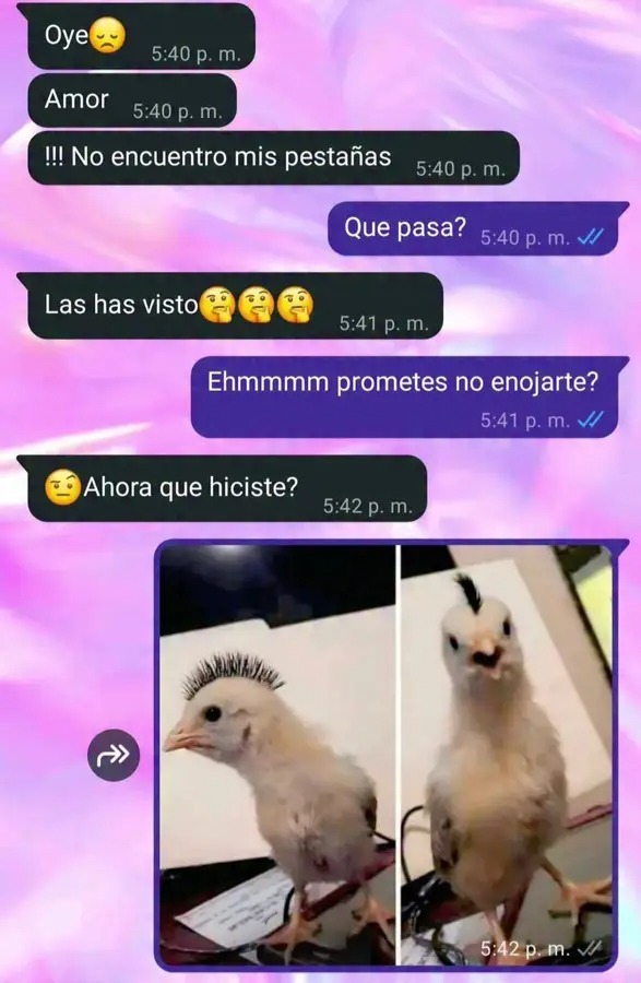 Top memes de Pollo en español :) Memedroid