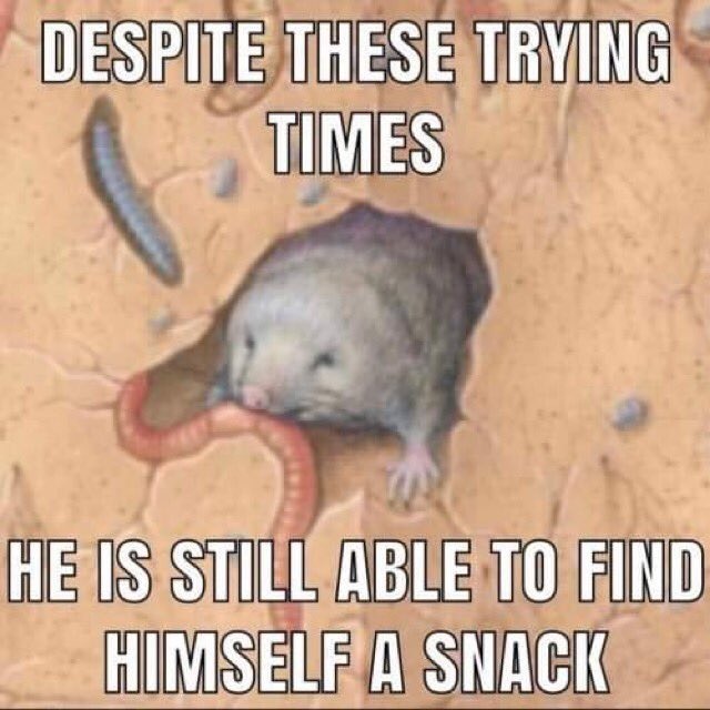 Amazing - Meme subido por YourOtherLeft :) Memedroid