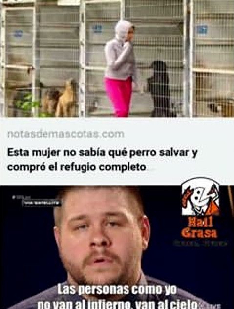 Meme de amor por los perros - Meme subido por k1ZUL :) Memedroid