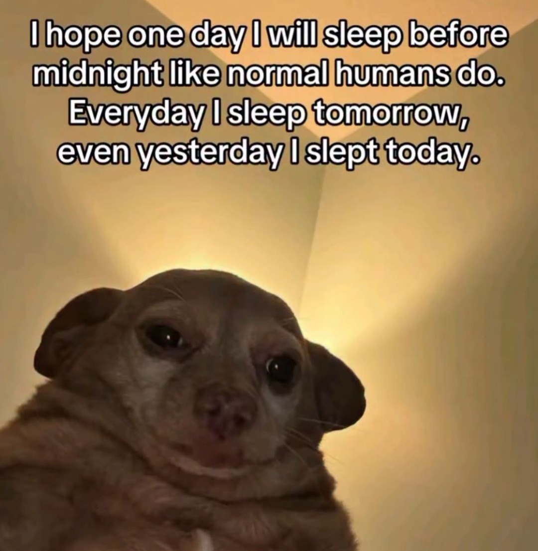 The best Sleeping memes :) Memedroid