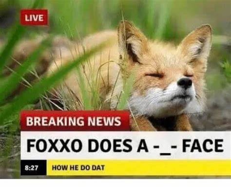 Hi there - Meme by LOGANCRACKHEAD :) Memedroid