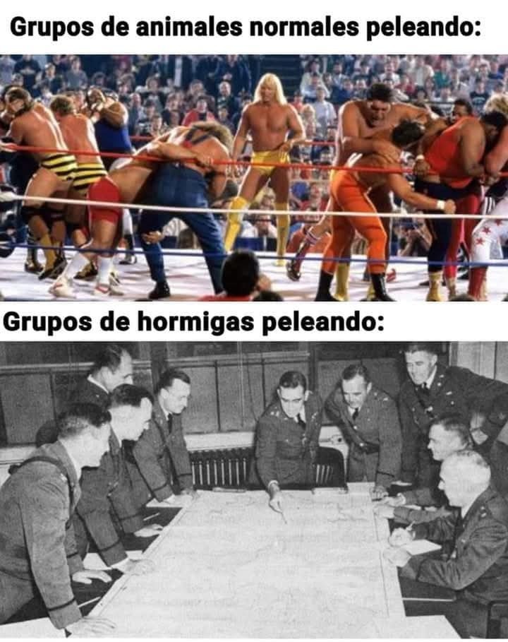 Top memes de Guerra en español :) Memedroid
